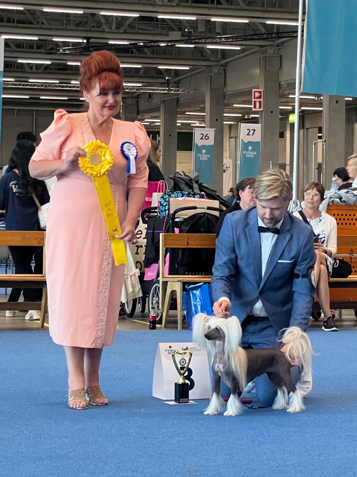 🏆 Finnish Toy Dog Club / WDS Circuit Show – Helsinki 🇫🇮 – Arte Figure
